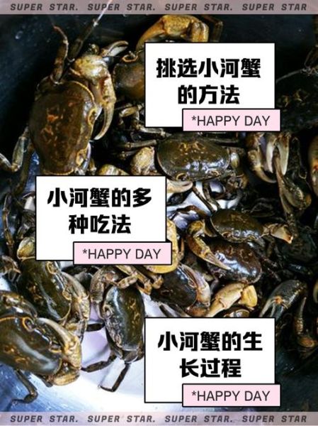 河里抓的小螃蟹怎么养_小螃蟹吃什么食物-第1张图片-山城妙识 河里抓的小螃蟹怎么养_小螃蟹吃什么食物-第1张图片-山城妙识
