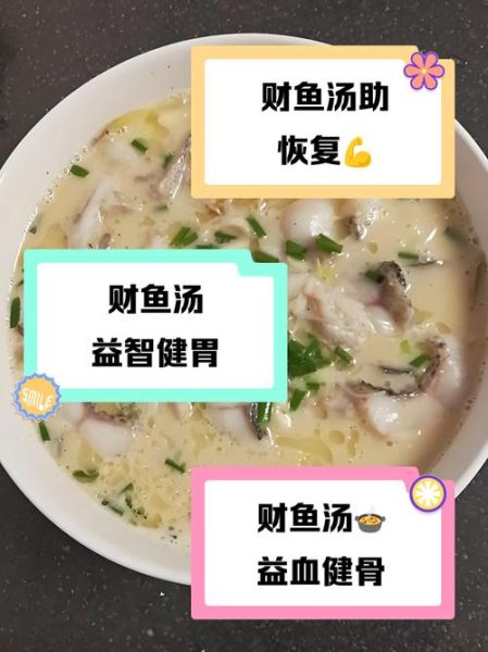 财鱼汤哪些人不能喝_财鱼汤禁忌人群-第1张图片-山城妙识 财鱼汤哪些人不能喝_财鱼汤禁忌人群-第1张图片-山城妙识