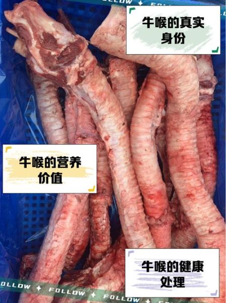黄喉是什么东西_黄喉是牛的哪个部位-第1张图片-山城妙识 黄喉是什么东西_黄喉是牛的哪个部位-第1张图片-山城妙识