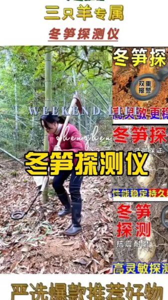 冬笋探测器多少钱一台_冬笋探测器价格表-第1张图片-山城妙识