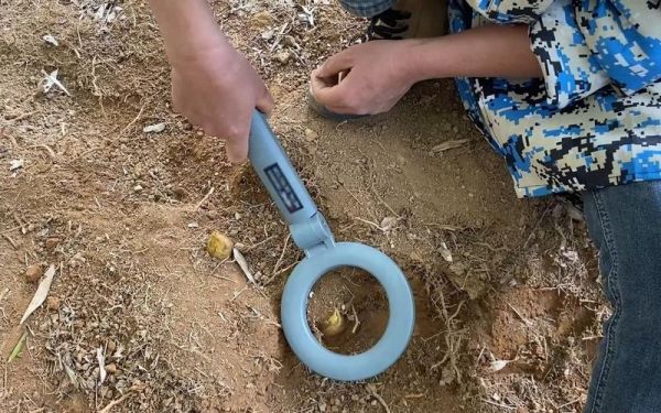 冬笋探测器多少钱一台_冬笋探测器价格表-第2张图片-山城妙识