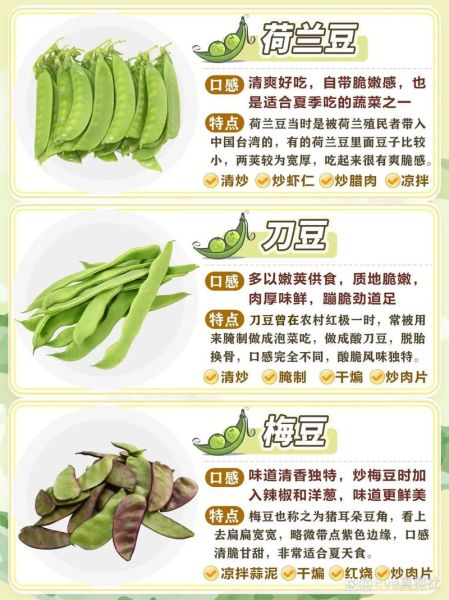 豆子有哪些种类_常见豆子品种图片大全-第2张图片-山城妙识 豆子有哪些种类_常见豆子品种图片大全-第2张图片-山城妙识
