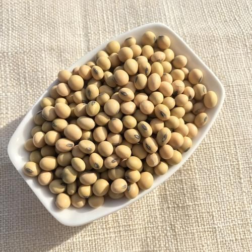 豆子有哪些种类_常见豆子品种图片大全-第3张图片-山城妙识 豆子有哪些种类_常见豆子品种图片大全-第3张图片-山城妙识