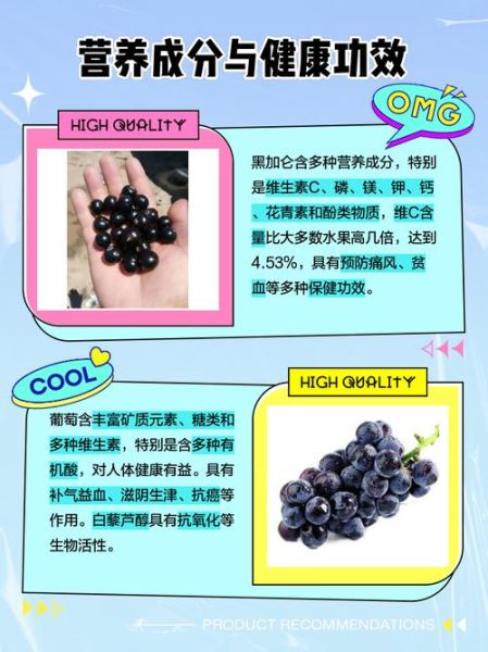 黑加仑和葡萄的区别_黑加仑是葡萄吗-第2张图片-山城妙识