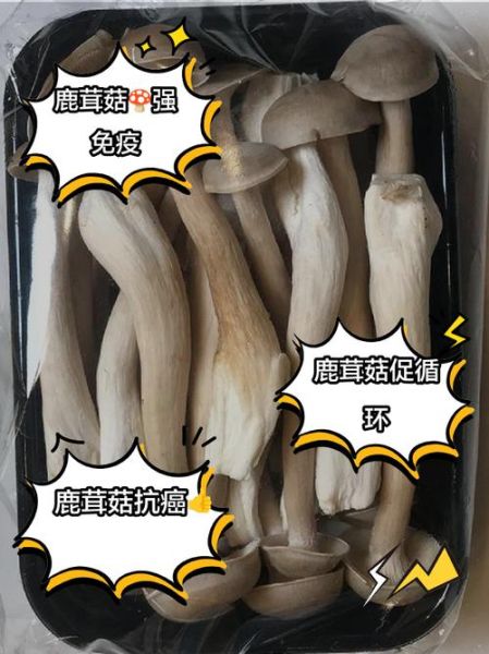 菇茑怎么吃_菇茑的营养价值-第1张图片-山城妙识