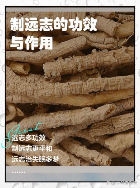 远志的功效与作用吃法_远志怎么泡水喝-第2张图片-山城妙识 远志的功效与作用吃法_远志怎么泡水喝-第2张图片-山城妙识