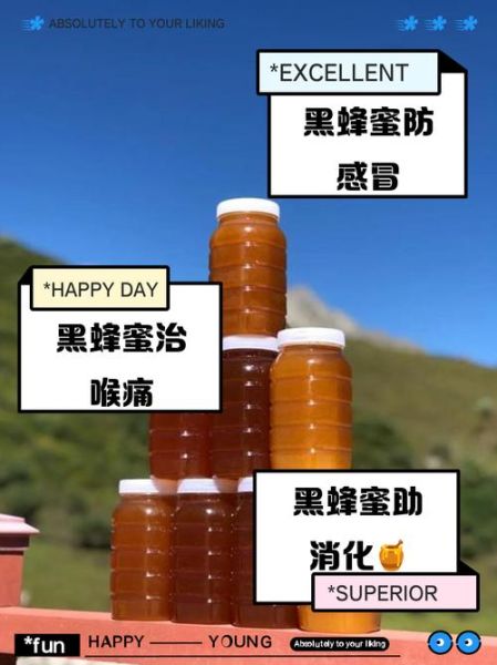 黑蜂蜜的作用与功效_黑蜂蜜怎么吃效果最好-第1张图片-山城妙识
