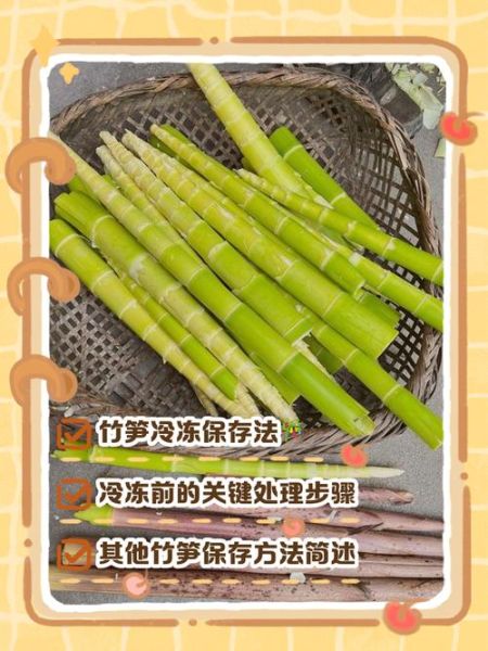 鲜竹笋的功效与作用_鲜竹笋怎么吃最健康-第2张图片-山城妙识 鲜竹笋的功效与作用_鲜竹笋怎么吃最健康-第2张图片-山城妙识