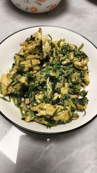 香菜炒鸡蛋有毒吗_香菜炒鸡蛋会中毒吗-第2张图片-山城妙识 香菜炒鸡蛋有毒吗_香菜炒鸡蛋会中毒吗-第2张图片-山城妙识