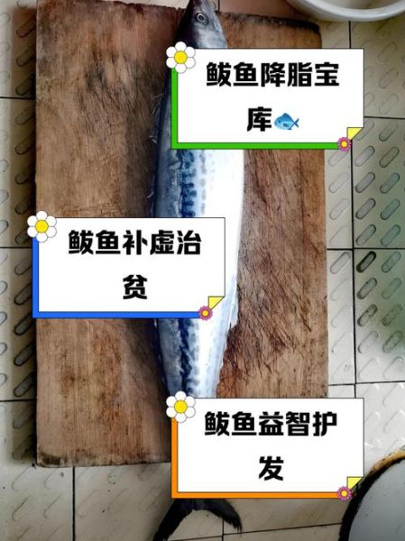 鲅鱼的营养价值及副作用_什么人不能吃鲅鱼-第2张图片-山城妙识 鲅鱼的营养价值及副作用_什么人不能吃鲅鱼-第2张图片-山城妙识