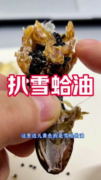 油蛤蟆怎么做_正宗油蛤蟆做法-第1张图片-山城妙识 油蛤蟆怎么做_正宗油蛤蟆做法-第1张图片-山城妙识