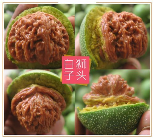 麒麟纹狮子头怎么盘_麒麟纹狮子头价格多少钱-第3张图片-山城妙识 麒麟纹狮子头怎么盘_麒麟纹狮子头价格多少钱-第3张图片-山城妙识