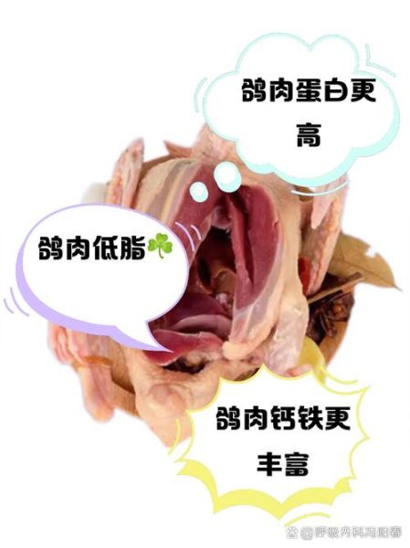 鸽子和鸡哪个营养高_鸽子和鸡营养价值对比-第1张图片-山城妙识