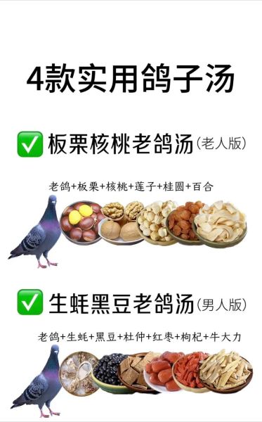 鸽子和鸡哪个营养高_鸽子和鸡营养价值对比-第3张图片-山城妙识
