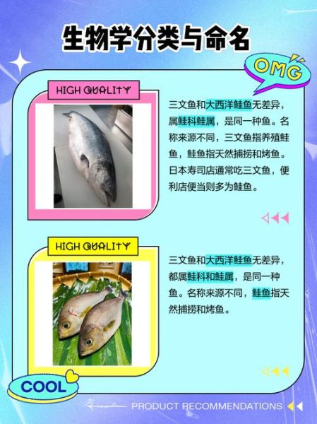 鲑鱼是三文鱼吗_三文鱼和鲑鱼区别-第1张图片-山城妙识