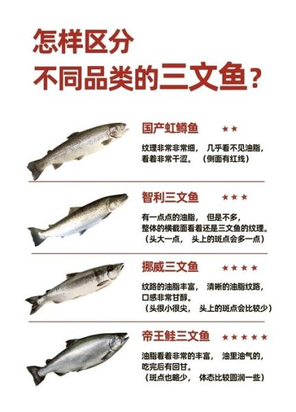 鲑鱼是三文鱼吗_三文鱼和鲑鱼区别-第2张图片-山城妙识