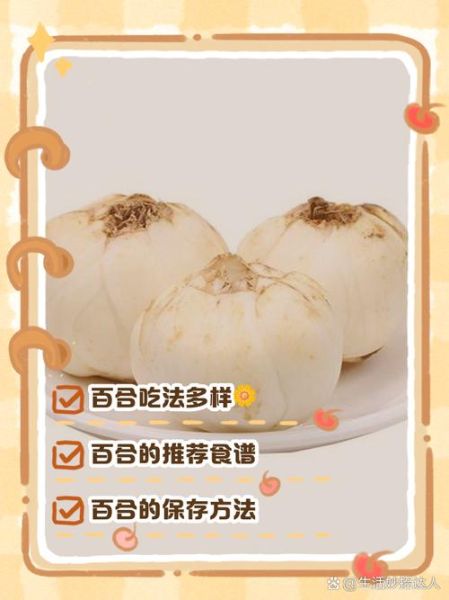 鲜百合最简单的吃法_鲜百合怎么吃最方便-第3张图片-山城妙识