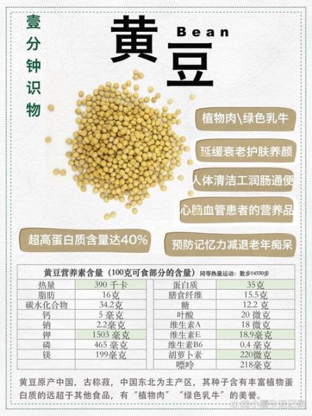 黄豆蛋白质含量多少_黄豆营养价值高吗-第1张图片-山城妙识 黄豆蛋白质含量多少_黄豆营养价值高吗-第1张图片-山城妙识