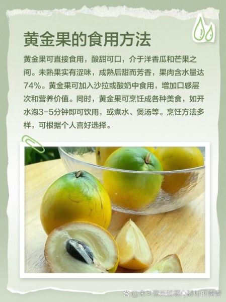 黄金果实是什么_黄金果实功效与作用-第1张图片-山城妙识 黄金果实是什么_黄金果实功效与作用-第1张图片-山城妙识