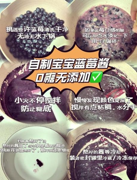 蓝莓酱的做法大全窍门_蓝莓酱怎么熬才浓稠-第1张图片-山城妙识