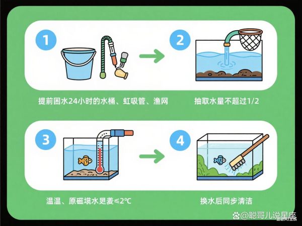 鱼缸水质怎么检测_养鱼新手如何换水-第2张图片-山城妙识
