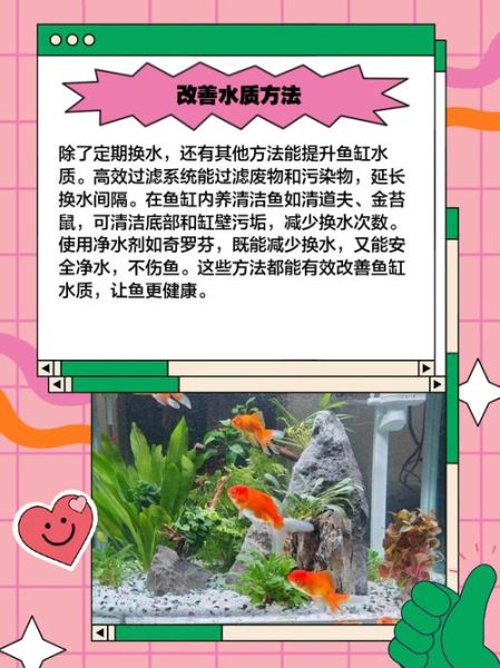 鱼缸水质怎么检测_养鱼新手如何换水-第3张图片-山城妙识