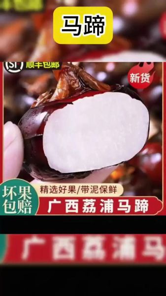 马蹄会加重湿气吗_湿气重能不能吃马蹄-第2张图片-山城妙识