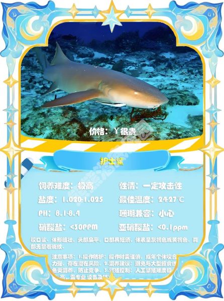 鳐鱼多少钱一斤_鳐鱼图片怎么区分品种-第3张图片-山城妙识 鳐鱼多少钱一斤_鳐鱼图片怎么区分品种-第3张图片-山城妙识