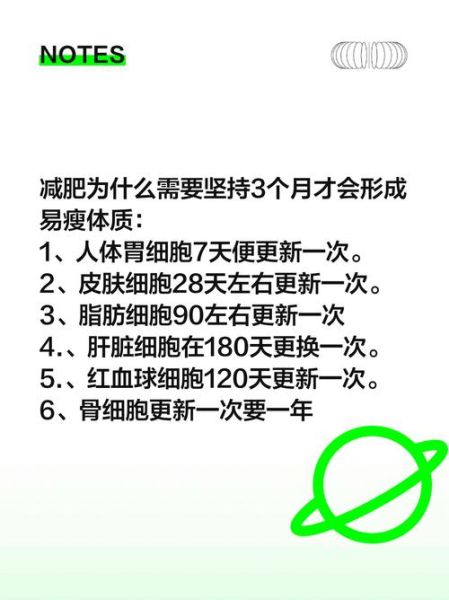 胖人怎么变成易瘦体质_易瘦体质如何养成-第1张图片-山城妙识 胖人怎么变成易瘦体质_易瘦体质如何养成-第1张图片-山城妙识