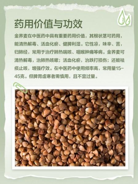 金荞麦片对肾有副作用吗_肾不好能吃金荞麦片吗-第1张图片-山城妙识
