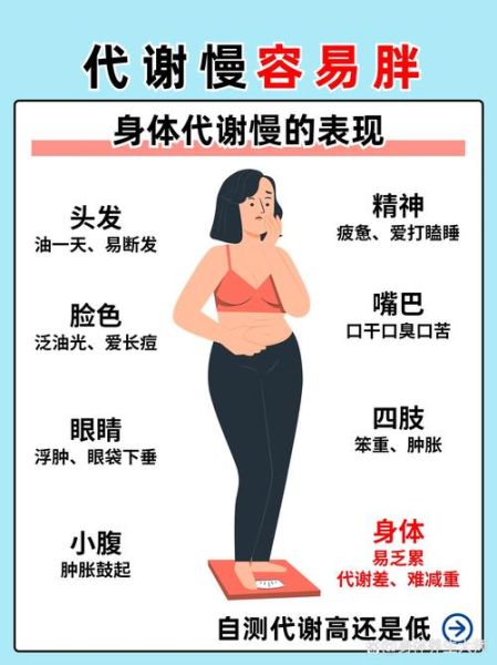 胖人怎么变成易瘦体质_易瘦体质如何养成-第3张图片-山城妙识 胖人怎么变成易瘦体质_易瘦体质如何养成-第3张图片-山城妙识