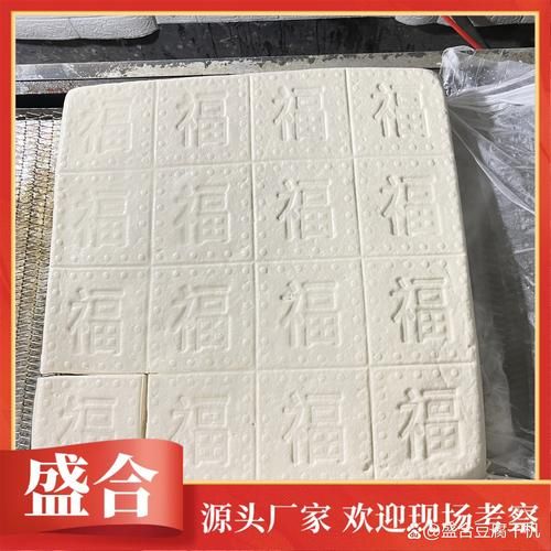 豆干机器多少钱一台_小型豆干机怎么选-第2张图片-山城妙识