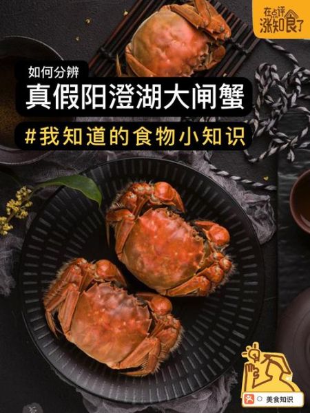 阳澄湖大闸蟹什么时候上市_怎么辨别真假-第2张图片-山城妙识 阳澄湖大闸蟹什么时候上市_怎么辨别真假-第2张图片-山城妙识