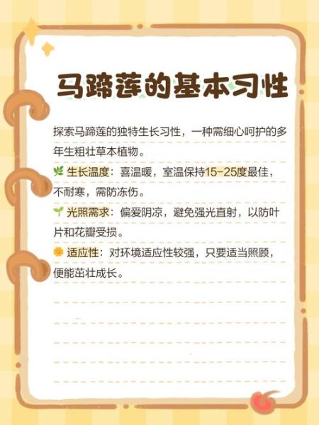 马蹄莲花怎么养_马蹄莲多久浇一次水-第3张图片-山城妙识 马蹄莲花怎么养_马蹄莲多久浇一次水-第3张图片-山城妙识