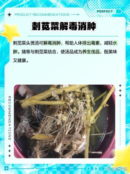 苋菜头有什么功效_苋菜头怎么吃最营养-第1张图片-山城妙识 苋菜头有什么功效_苋菜头怎么吃最营养-第1张图片-山城妙识