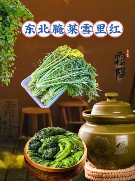 雪里红怎么吃_雪里红的家常做法-第3张图片-山城妙识 雪里红怎么吃_雪里红的家常做法-第3张图片-山城妙识