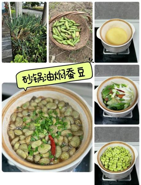 油焖蚕豆怎么做_油焖蚕豆要不要放洋葱-第1张图片-山城妙识