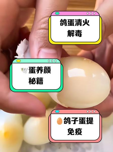 鸽蛋的营养价值_鸽蛋的功效与禁忌-第3张图片-山城妙识