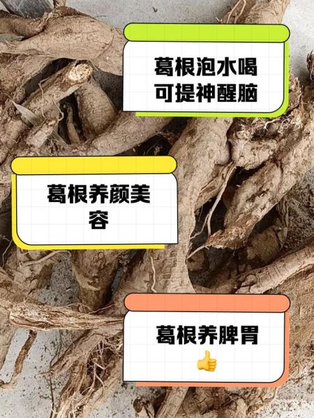 葛根泡水喝的功效与禁忌_哪些人不能喝-第1张图片-山城妙识 葛根泡水喝的功效与禁忌_哪些人不能喝-第1张图片-山城妙识