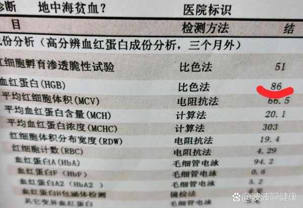 贫血吃什么药补的快_最快补血药有哪些-第3张图片-山城妙识