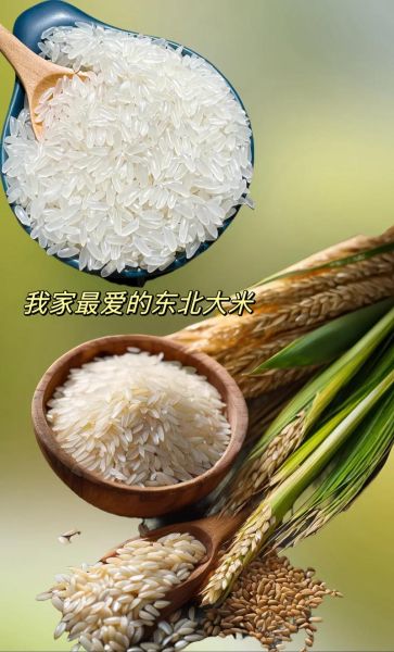 东北大米品种排名_哪种最好吃-第2张图片-山城妙识