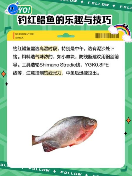 黑坑红鲳鱼怎么钓_黑坑红鲳鱼钓法技巧-第1张图片-山城妙识