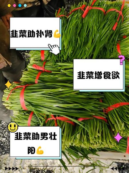 韭菜吃多了有什么坏处_韭菜过量副作用-第1张图片-山城妙识