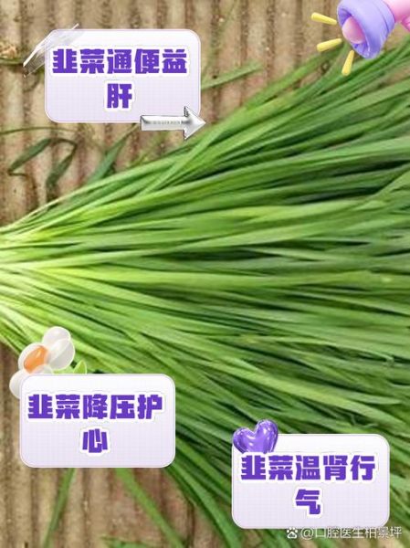 韭菜吃多了有什么坏处_韭菜过量副作用-第3张图片-山城妙识