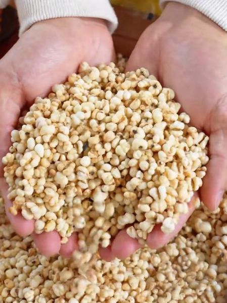 薏仁米需要炒吗_薏仁米炒与不炒区别-第3张图片-山城妙识