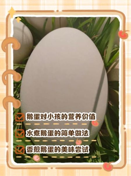 鹅蛋怎么吃最营养_鹅蛋怎么做给宝宝吃-第2张图片-山城妙识 鹅蛋怎么吃最营养_鹅蛋怎么做给宝宝吃-第2张图片-山城妙识