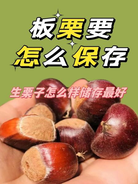 鲜栗子怎么保存时间长_鲜栗子可以放冰箱吗-第1张图片-山城妙识 鲜栗子怎么保存时间长_鲜栗子可以放冰箱吗-第1张图片-山城妙识