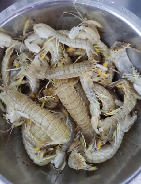虾爬子蒸多长时间最好_蒸多久才鲜嫩不腥-第1张图片-山城妙识 虾爬子蒸多长时间最好_蒸多久才鲜嫩不腥-第1张图片-山城妙识