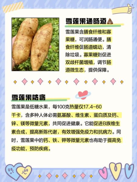 雪莲怎么吃_雪莲的功效与作用-第2张图片-山城妙识