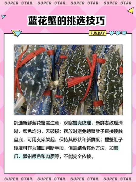 兰花蟹多少钱一斤_兰花蟹价格受哪些因素影响-第3张图片-山城妙识